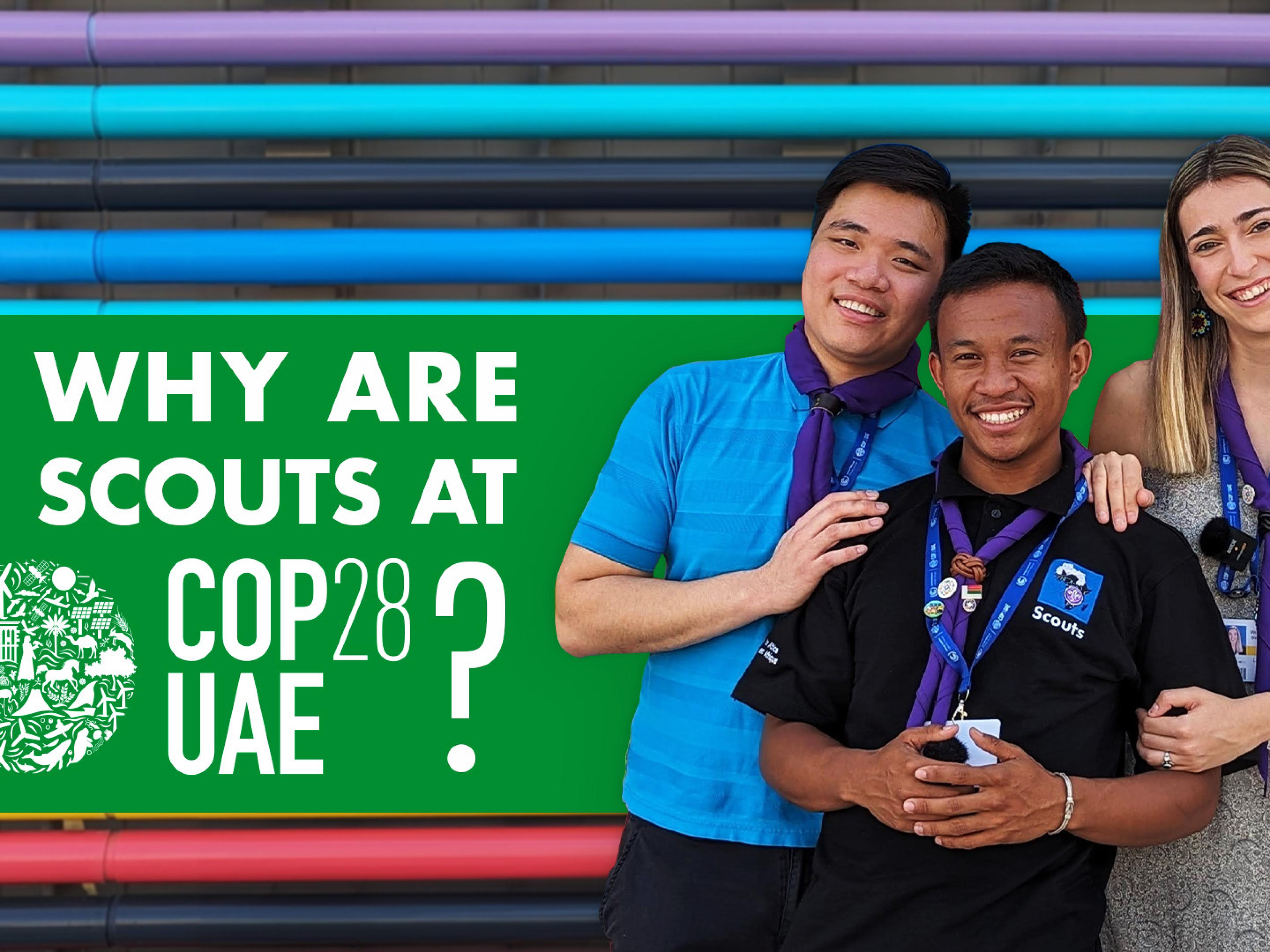 What We Do | WOSM