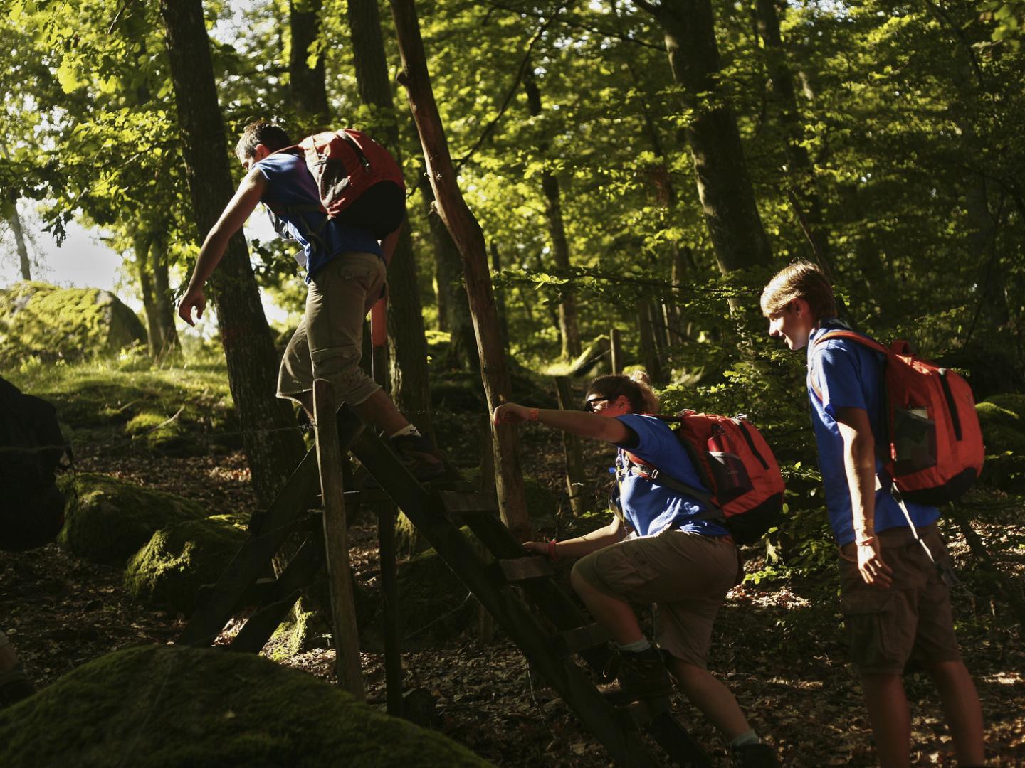 Home | World Organization of the Scout Movement