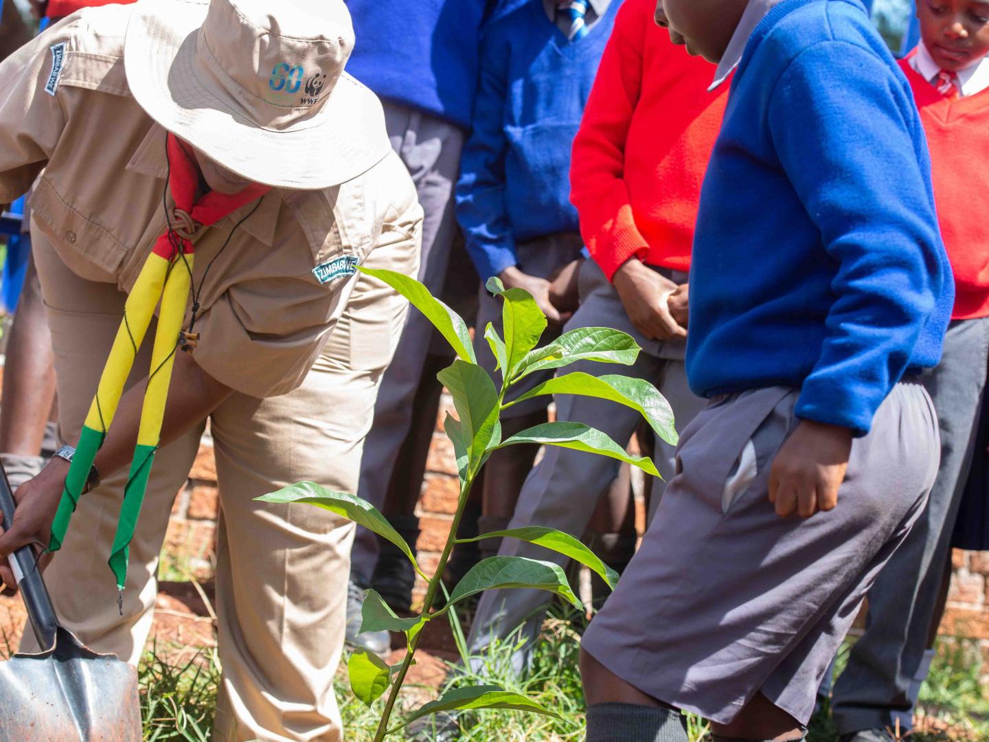 Scouts Commemorate Earth Hour with Call for Urgent Climate Action | WOSM
