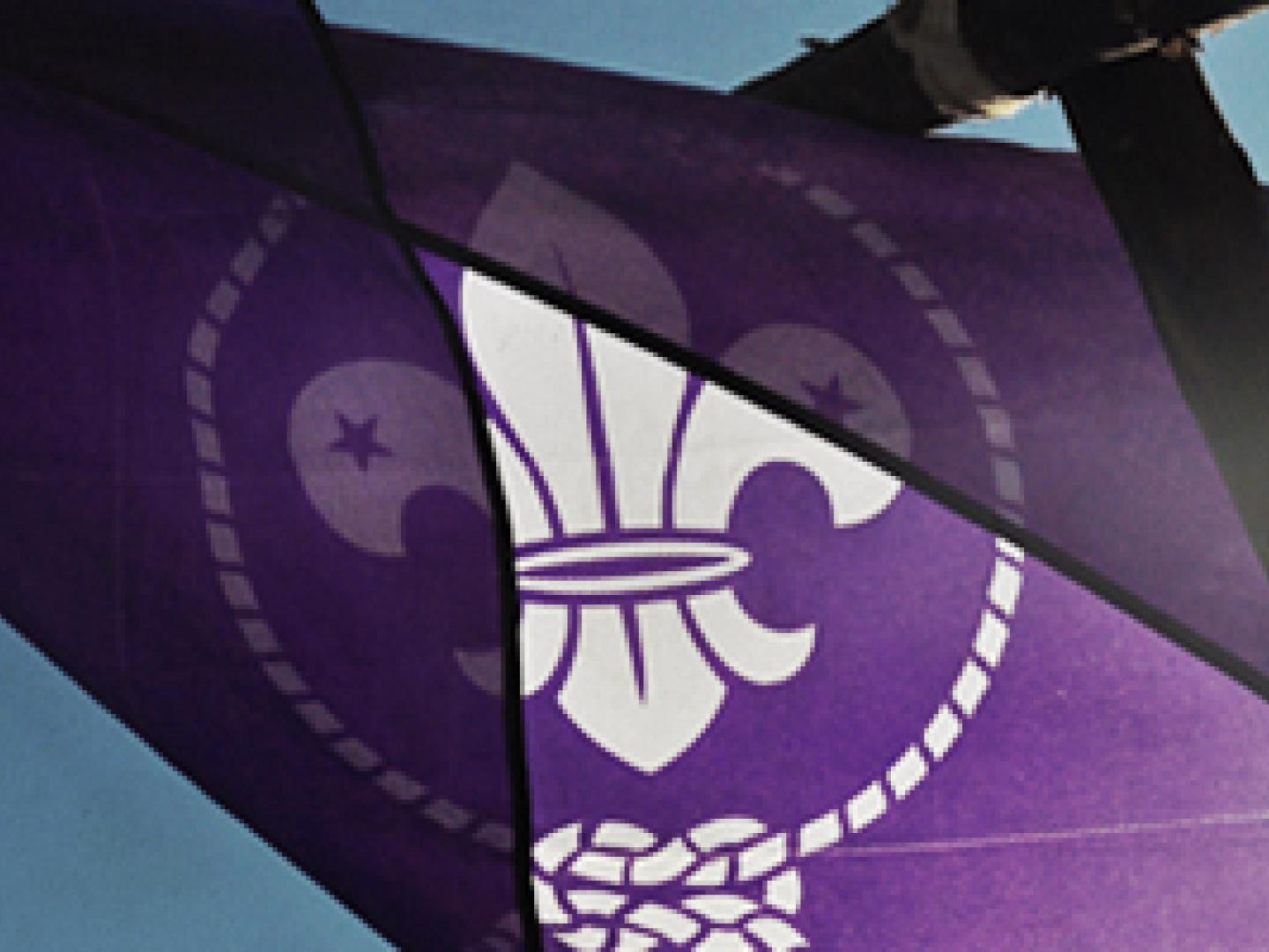 Scouts of Brazil Conduct Unprecedented Cruise along the Brazilian Coast ...