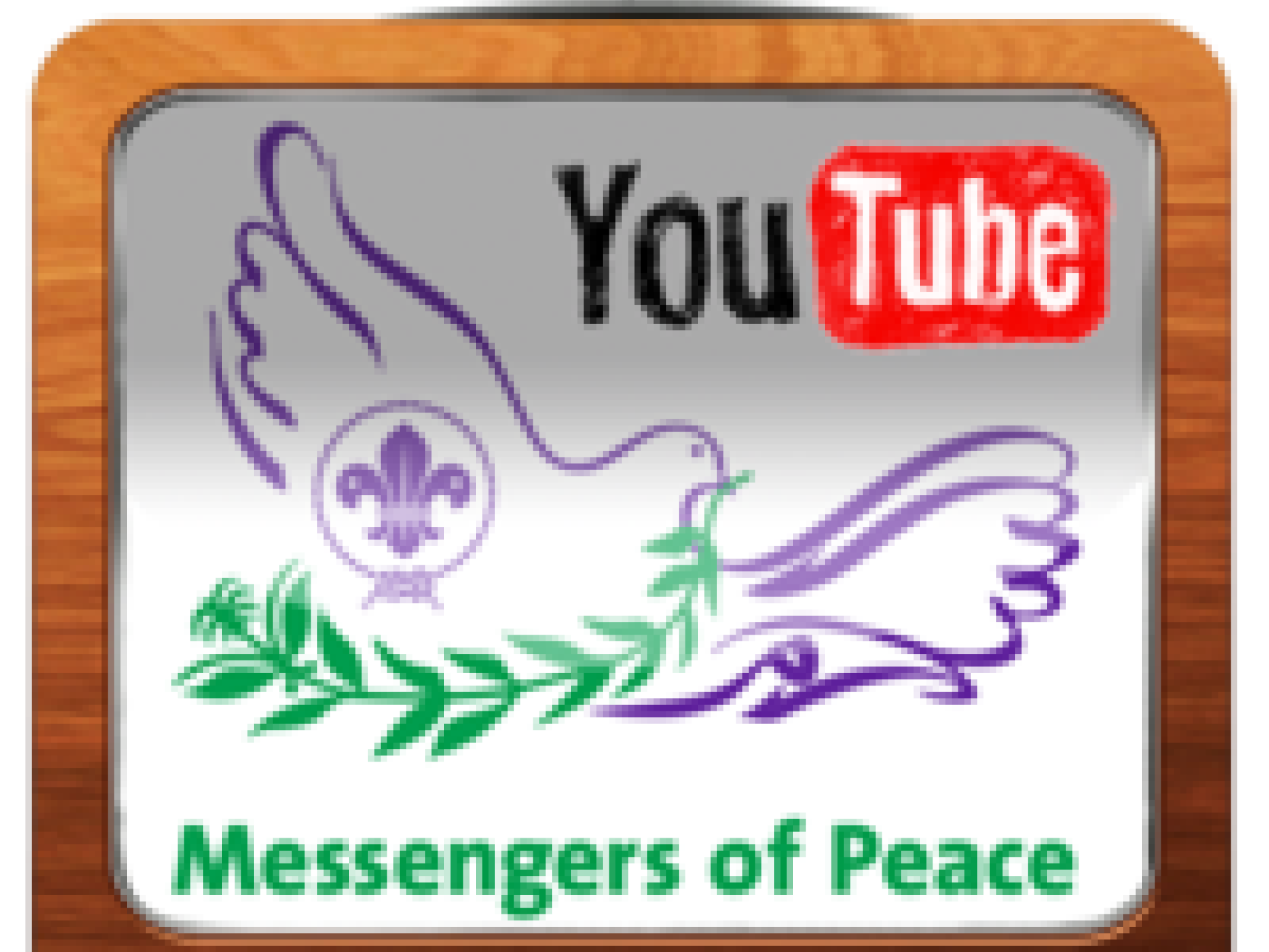Are you changing the world today? | WOSM