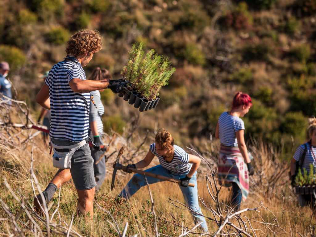 5 inspiring environmental Scout projects | WOSM