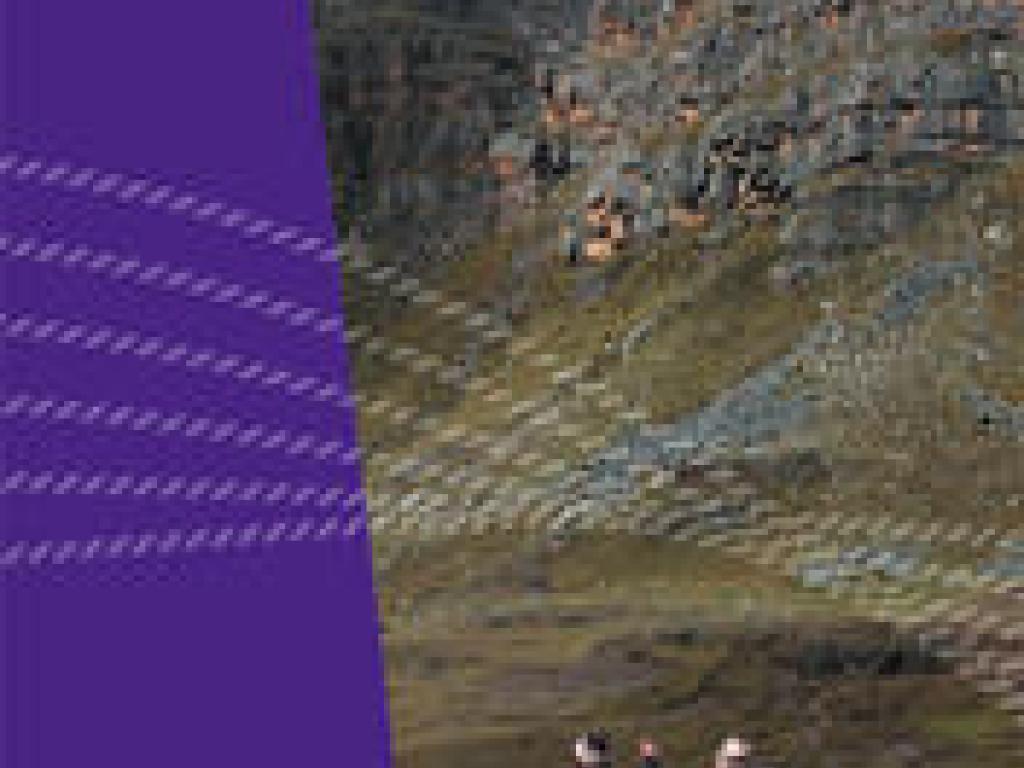 Guidelines for the Rover Scout Section | WOSM