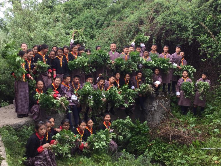 Scouts launch campaign against marijuana | WOSM