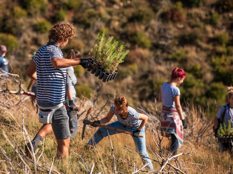 5 inspiring environmental Scout projects | World Scouting