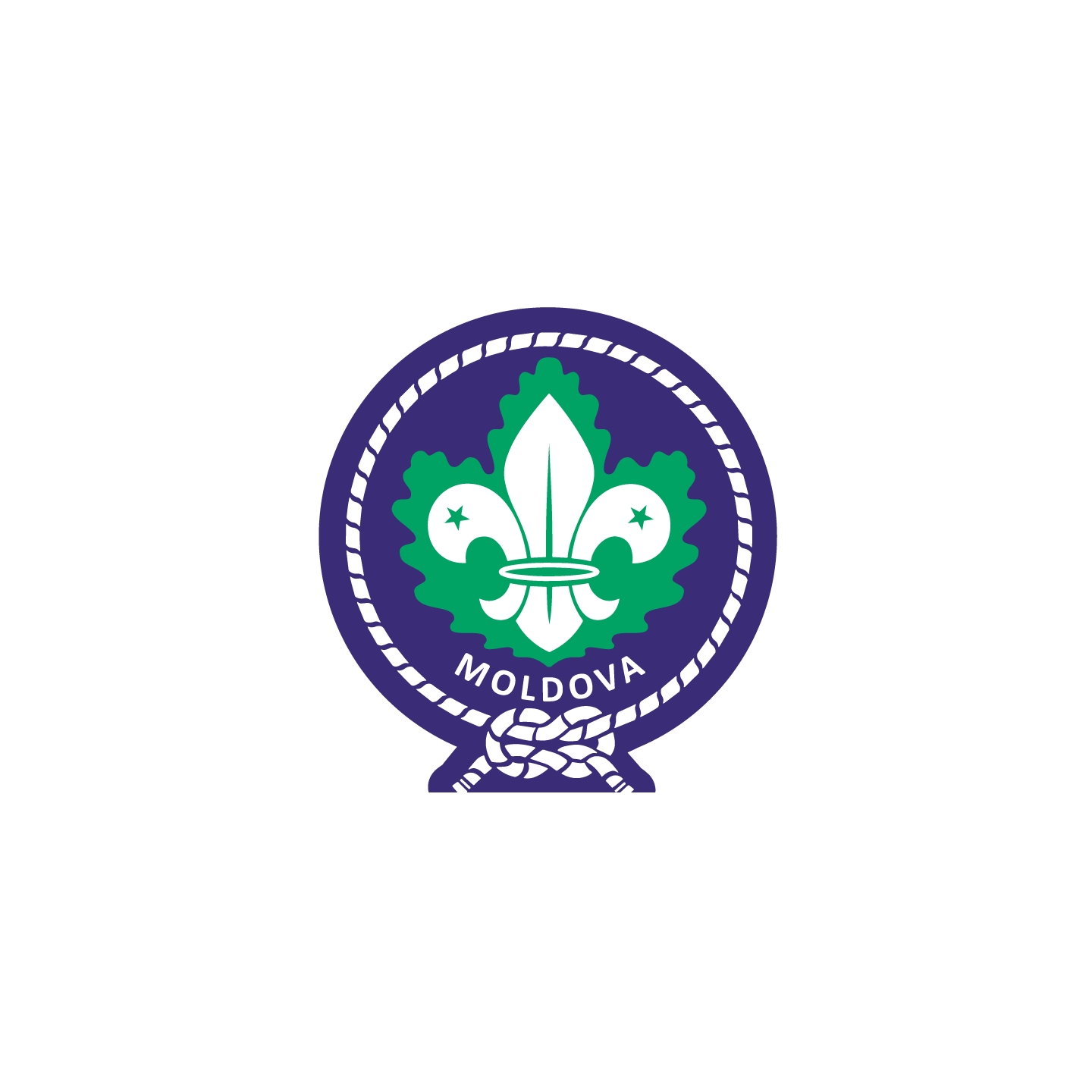 Partnership | World Scouting