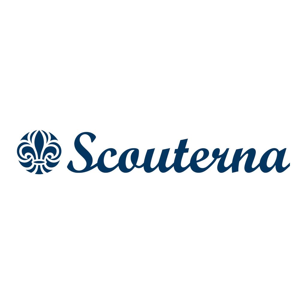 Partnership World Scouting