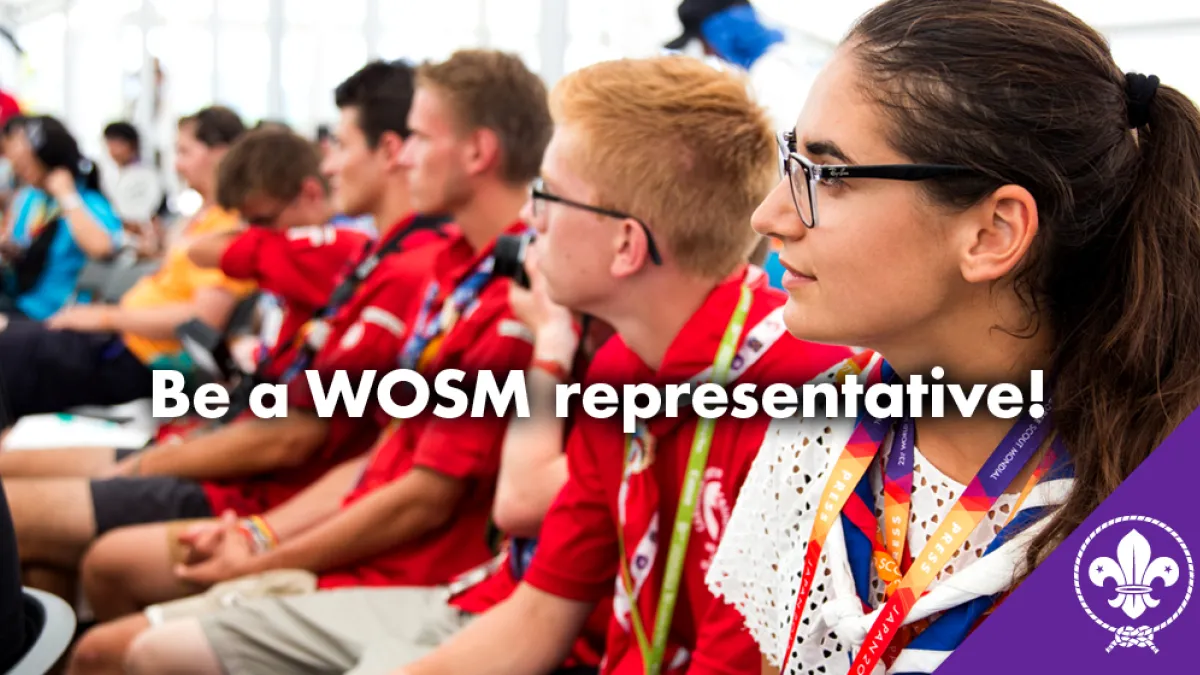 Open Call for WOSM External Representatives | WOSM