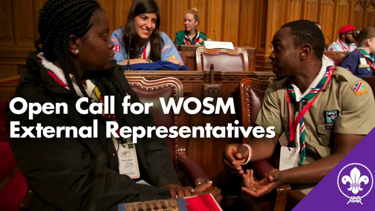 Become WOSM External Representative and be the face and voice of WOSM ...