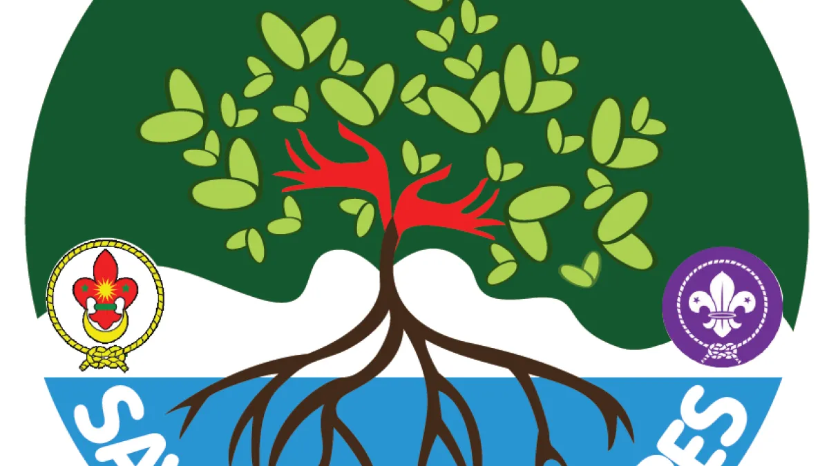 Exciting Scouts of the World Award Project - Save our Shores | WOSM